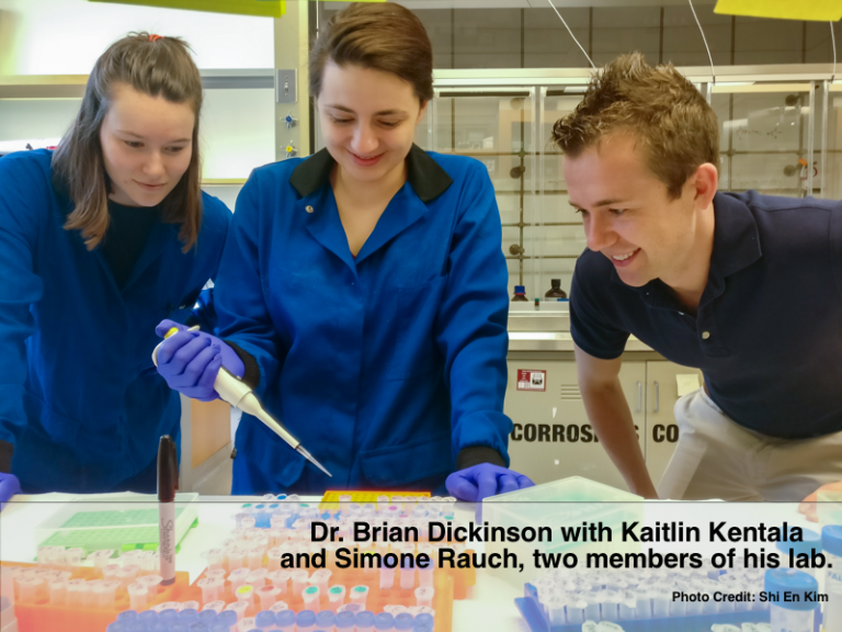 Congratulations to Dr. Brian Dickinson on the Development of CIRTS ...